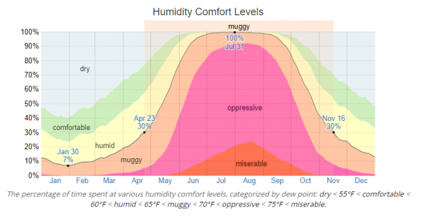 Disney World Weather Patterns | Disney Daily Dime