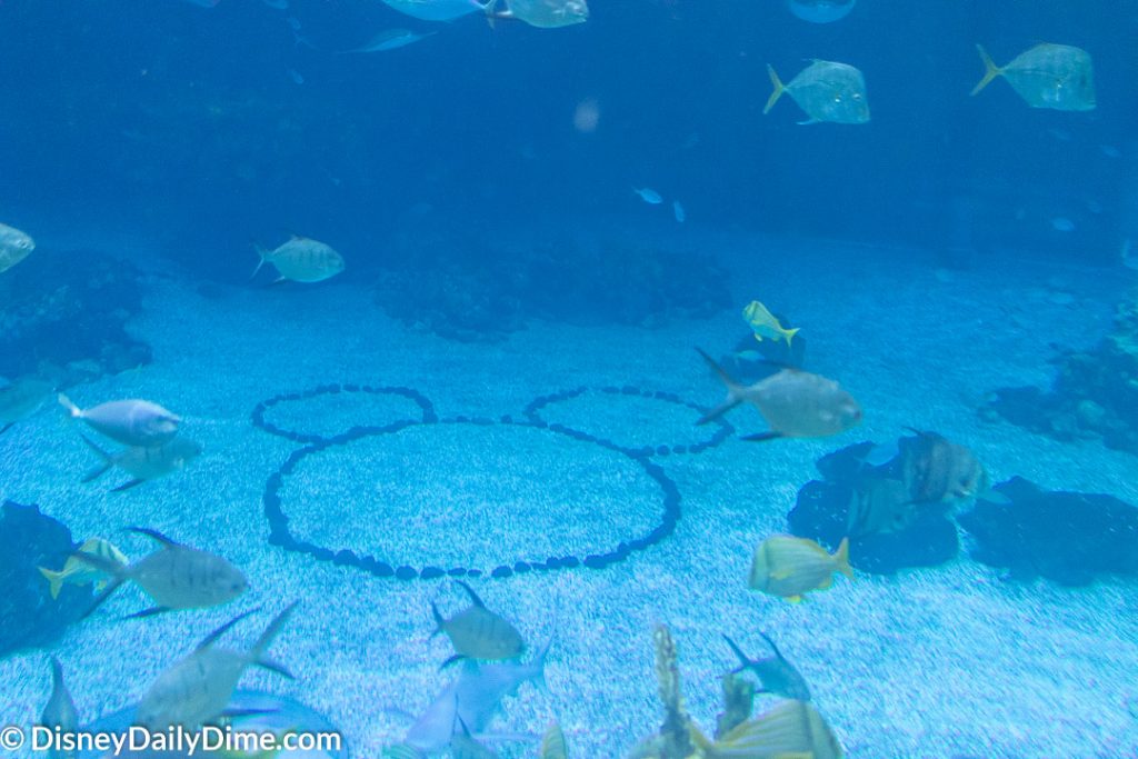 16 Disney World Time Saving Tips | Disney Daily Dime