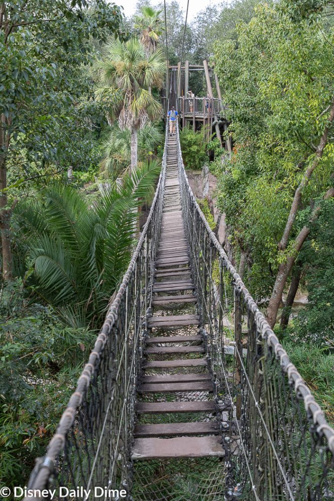 Disney Wild Africa Trek Review | Disney Daily Dime