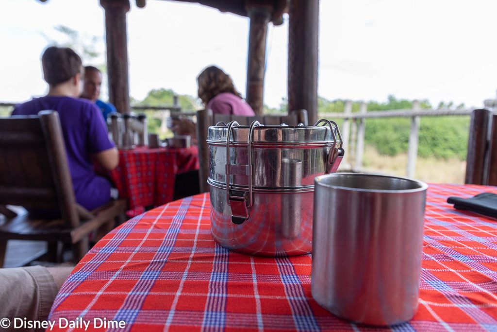 Disney Wild Africa Trek Review | Disney Daily Dime