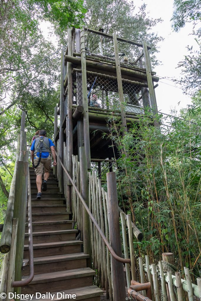 Disney Wild Africa Trek Review | Disney Daily Dime