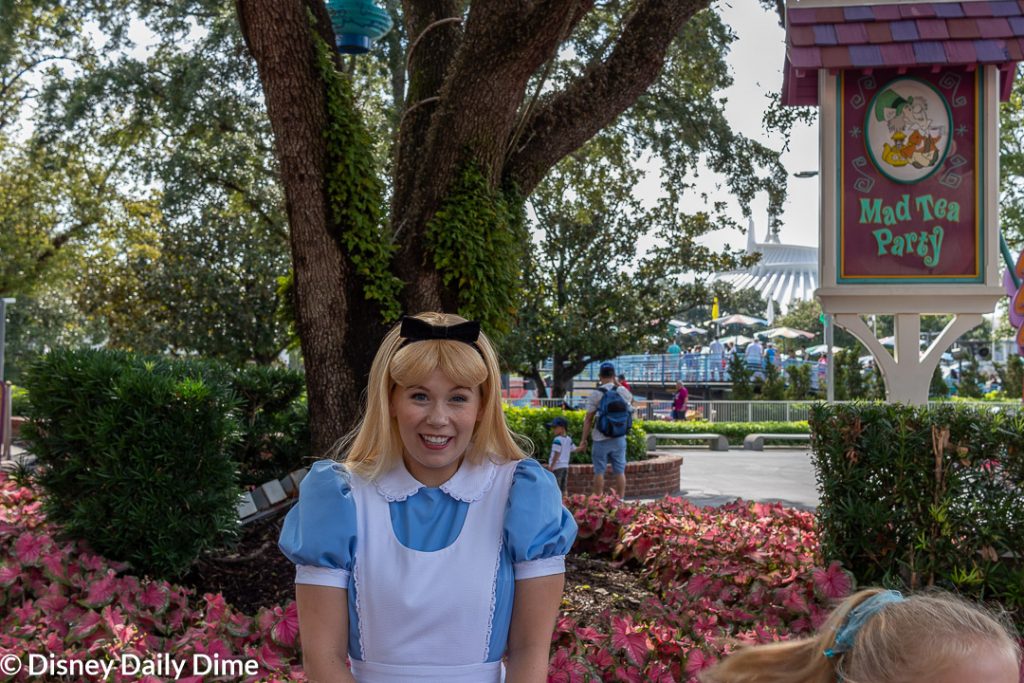 Complete Guide to Magic Kingdom Characters | Disney Daily Dime