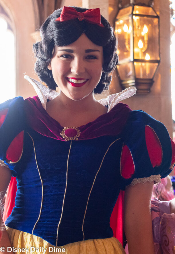 Cinderella's Royal Table Review | Disney Daily Dime
