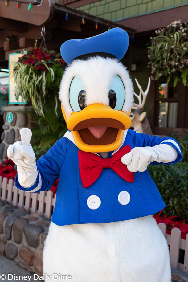 Complete Guide to Hollywood Studios Characters | Disney Daily Dime