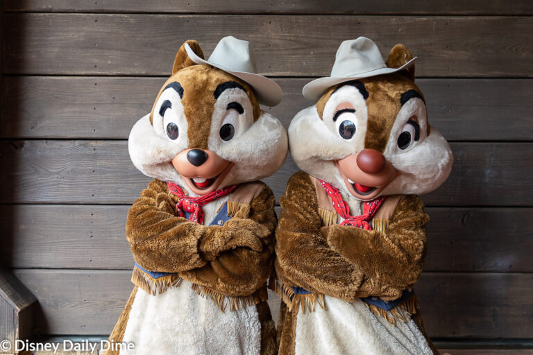 Complete Guide to Magic Kingdom Characters | Disney Daily Dime
