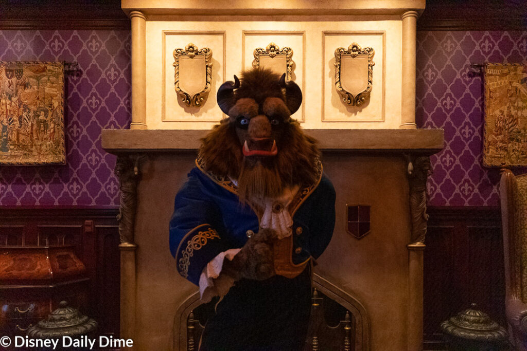 Complete Guide to Magic Kingdom Characters | Disney Daily Dime