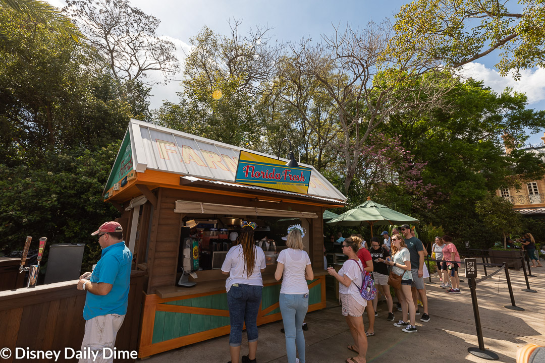 Florida Fresh Review – Epcot Flower & Garden Festival | Disney Daily Dime